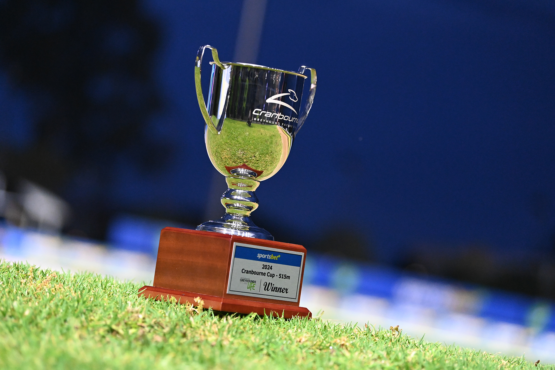 Data comparison of Cranbourne Cup finalists