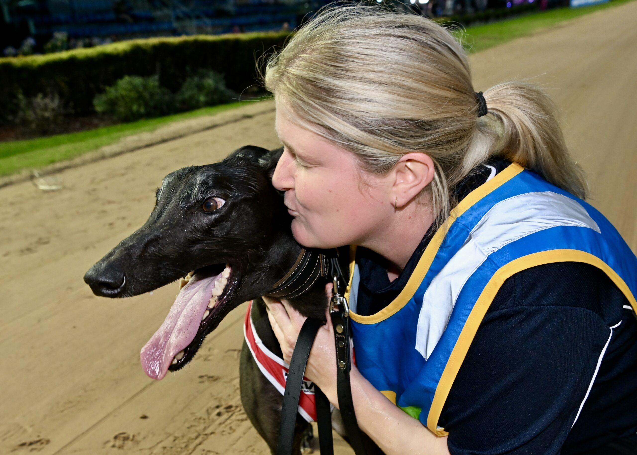 Canya All Class stars in Bold Trease heats | GRV