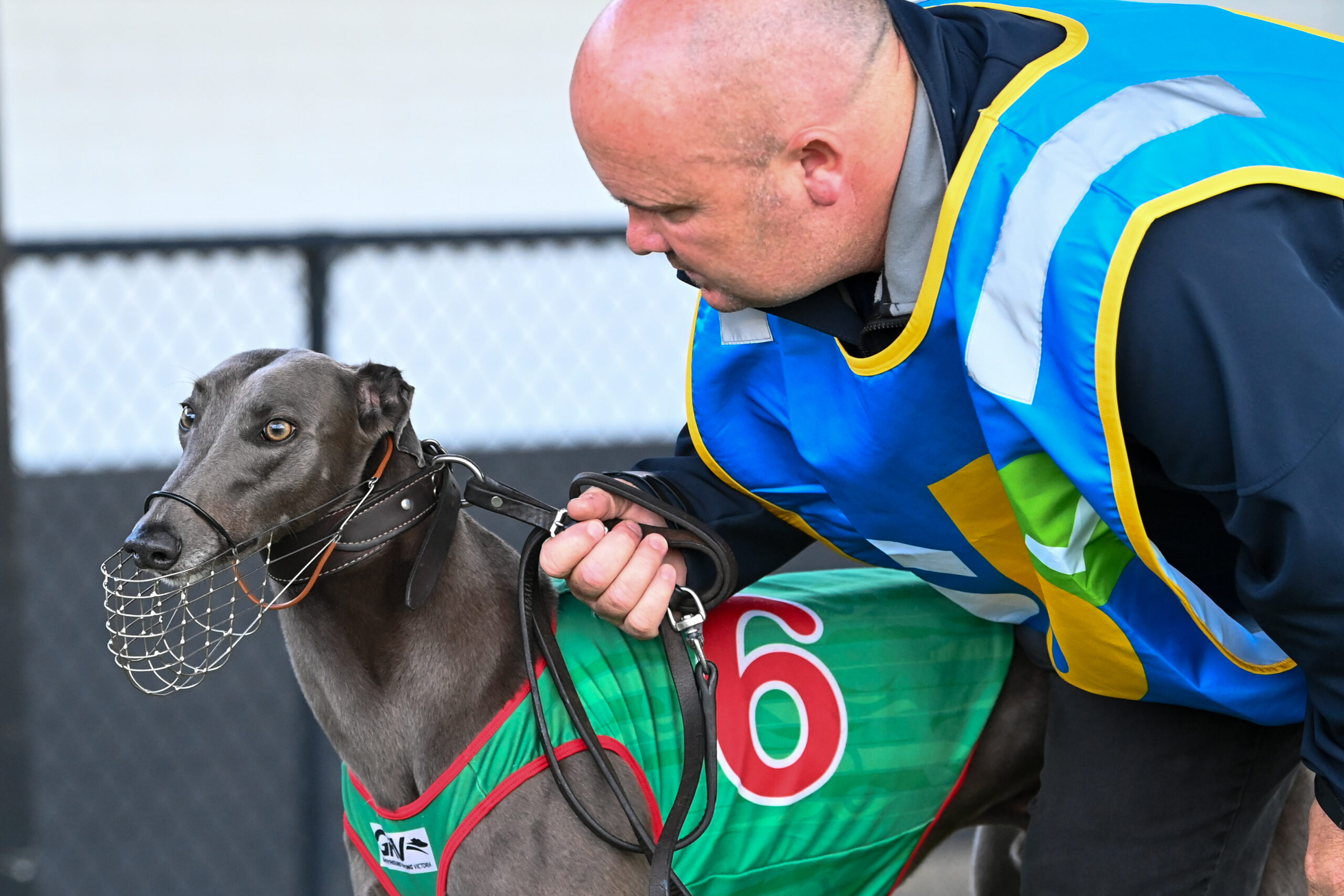 Monday's racing cancelled due to heat