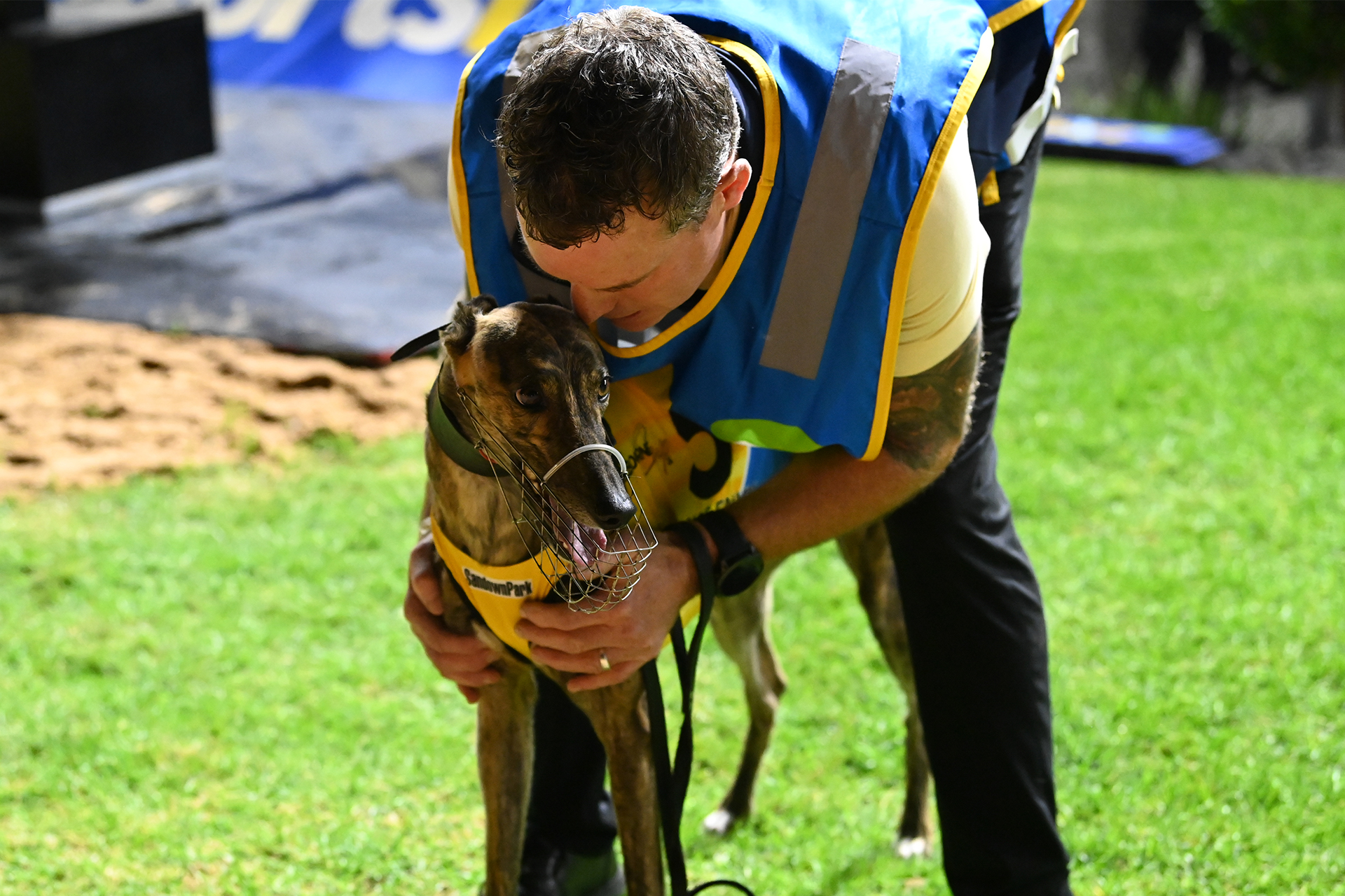 Miss Envy magnificent in the Laurels