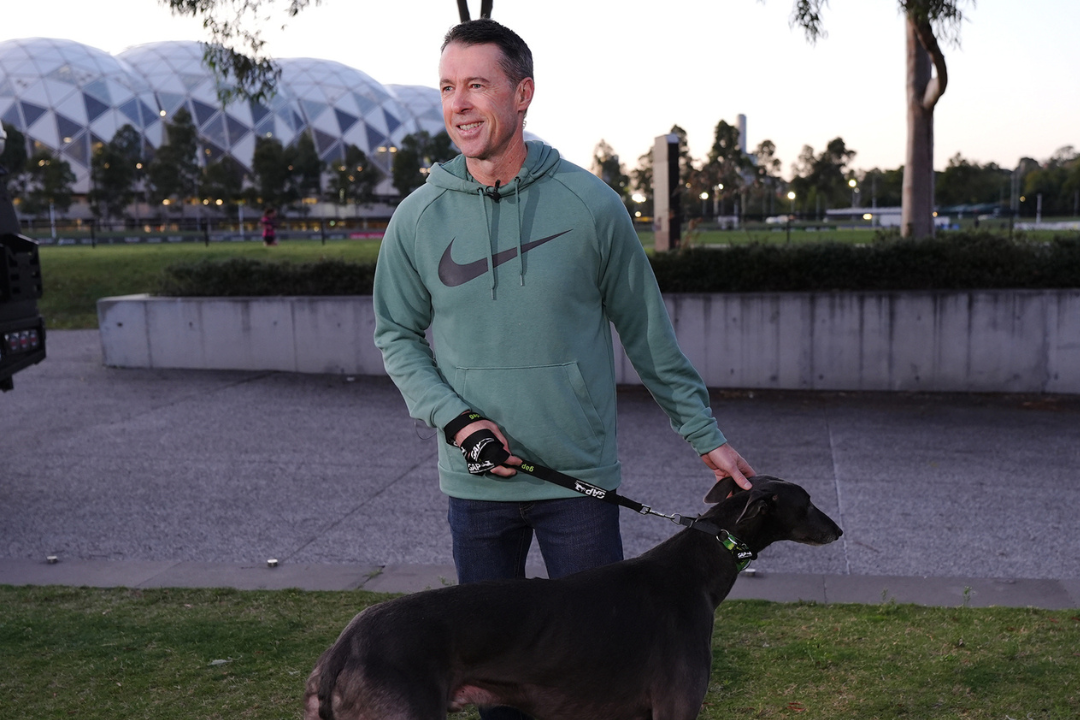 National Greyhound Adoption Month Launched by McRae