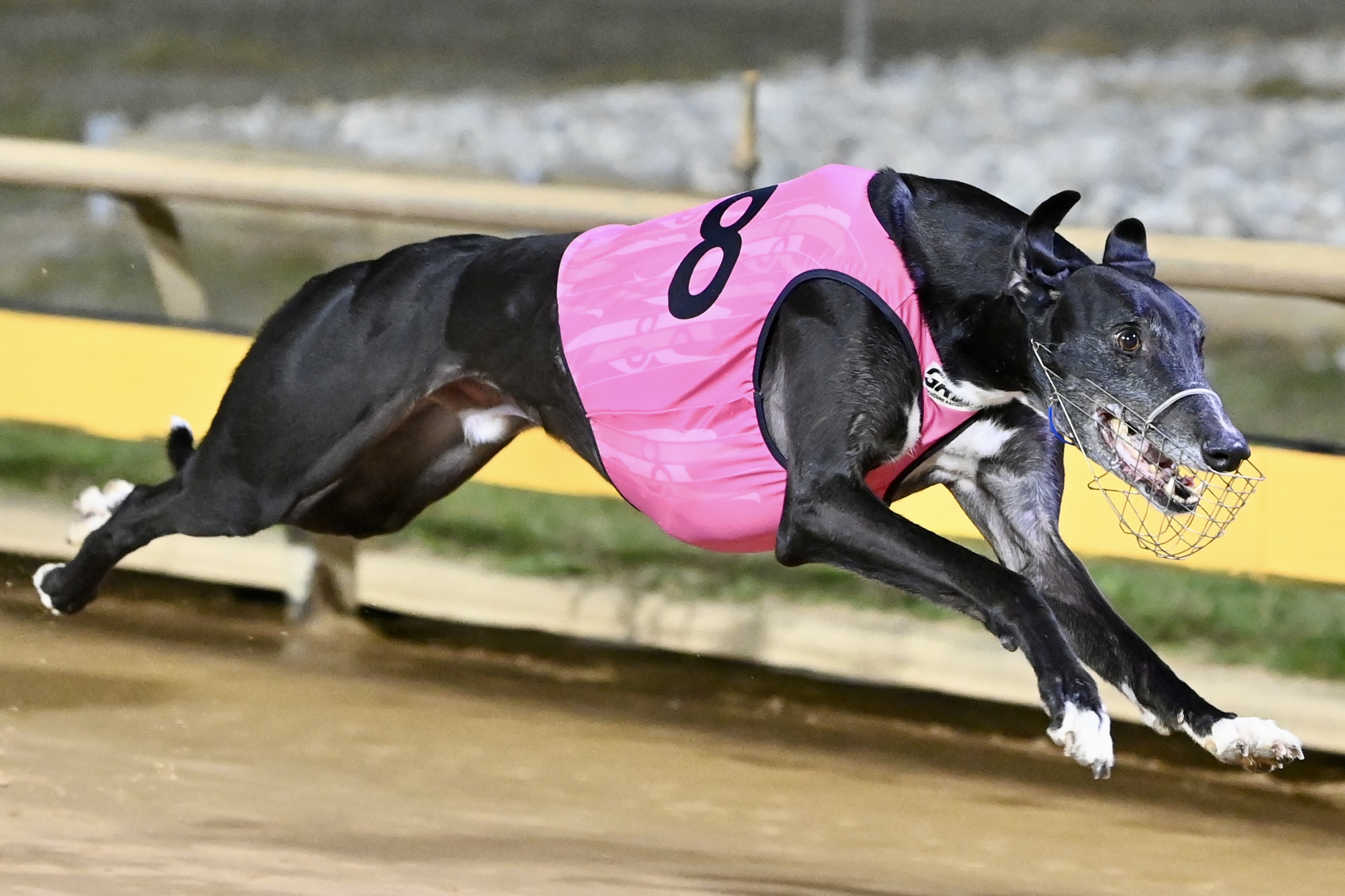 Welcome to Victoria Gold Force