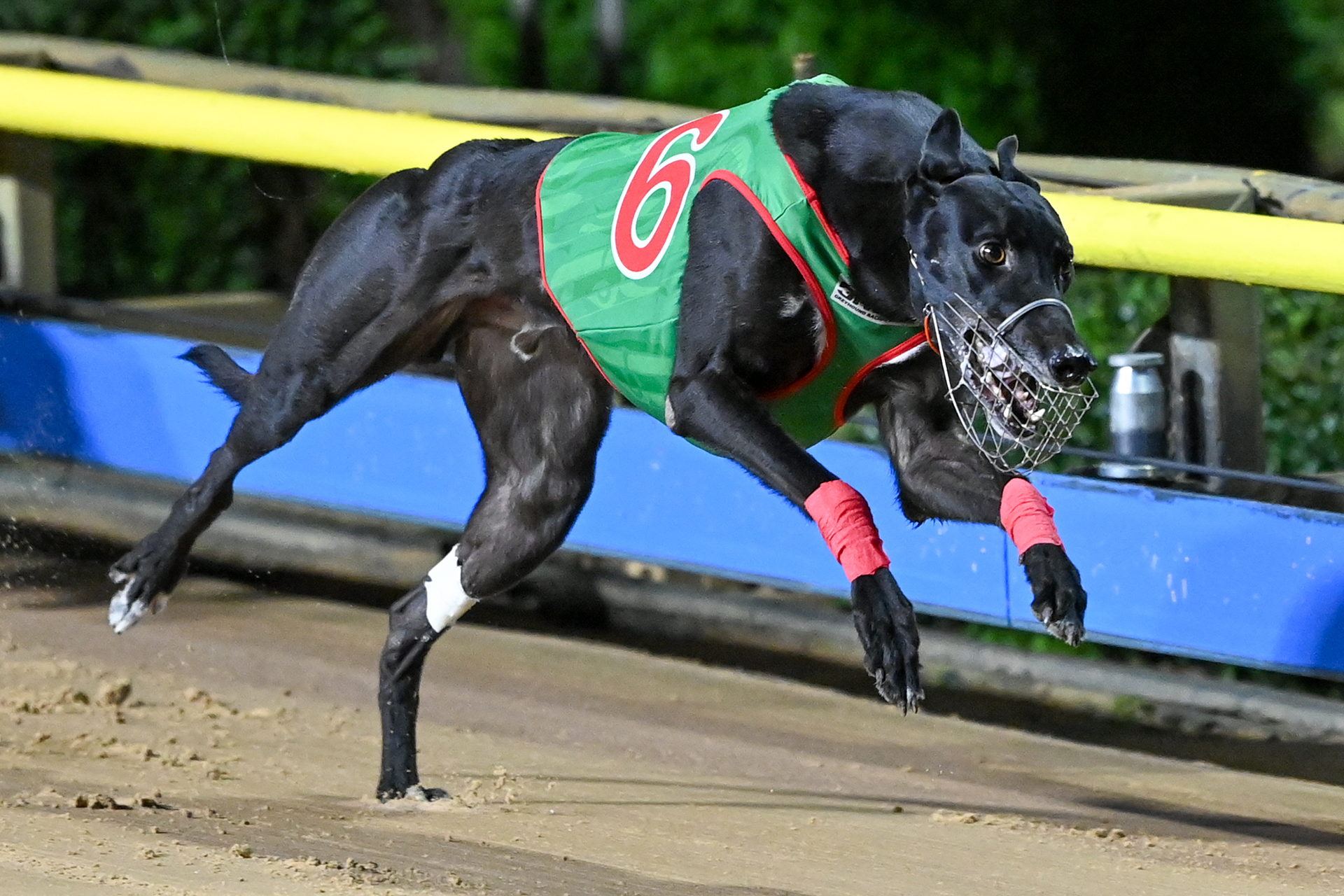 Slick Splits the big winner, Raining Fire the fastest