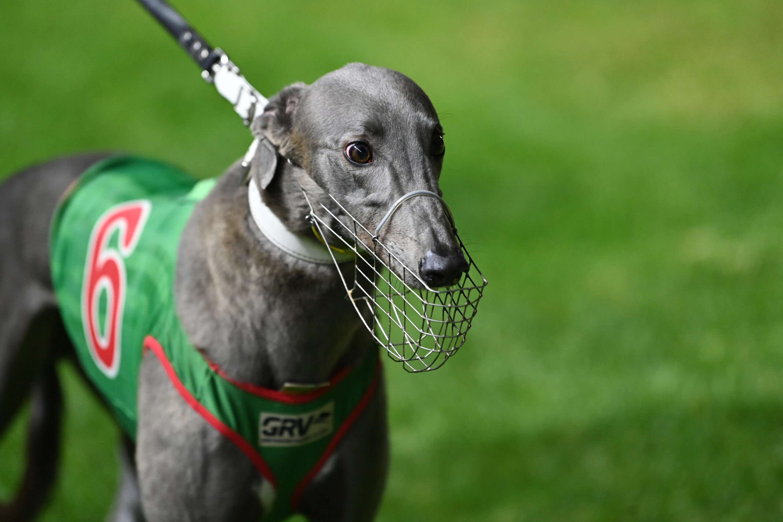 Two big returns at The Meadows