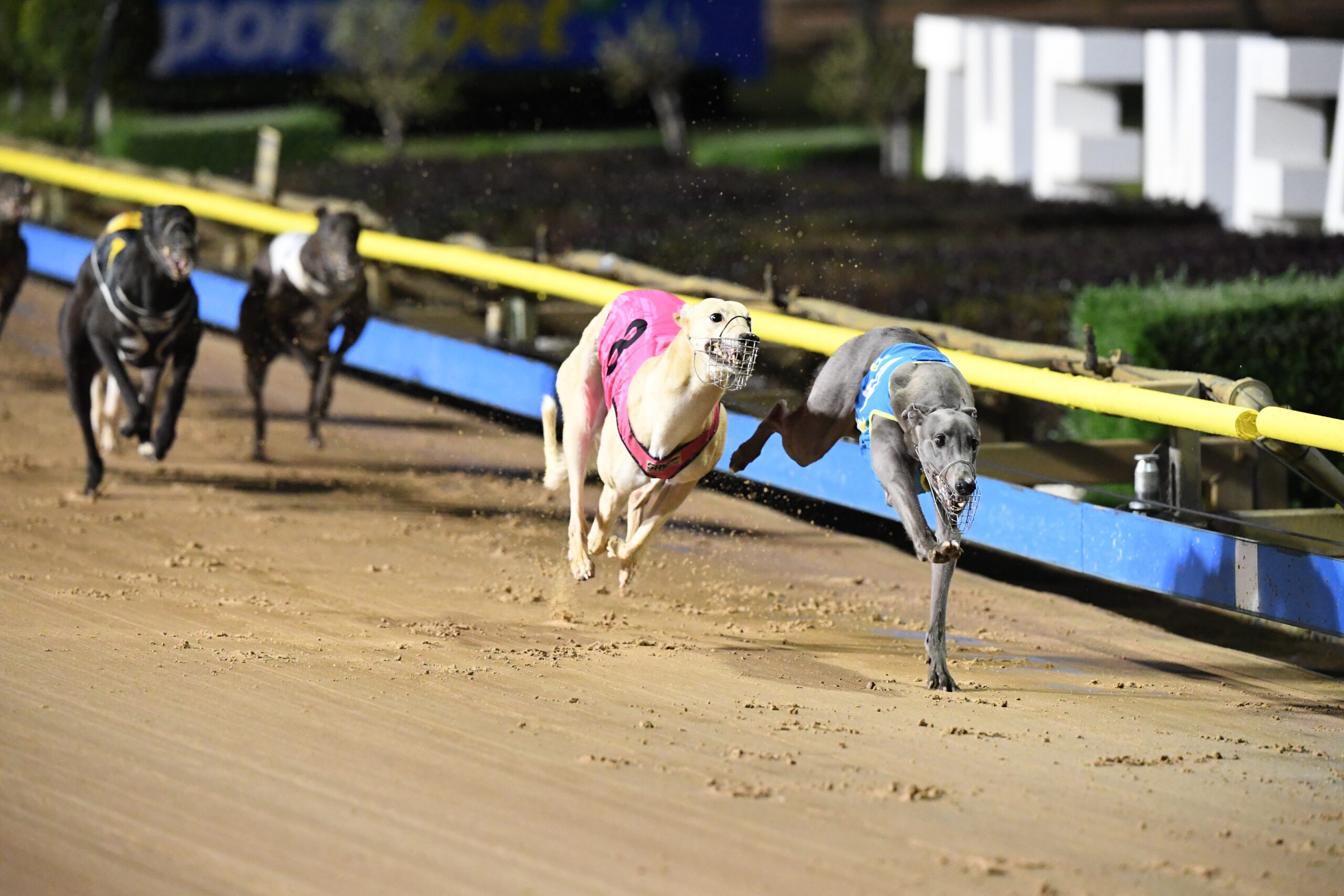 Plenty to take from Saquon’s Maturity heat