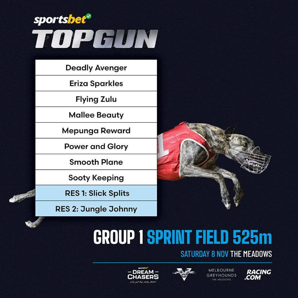MDC Stars & Stayer of the Year headline Topgun fields