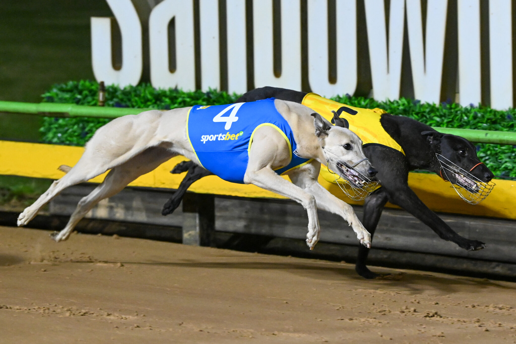 Geall spritely but pessimistic about Cup hopes