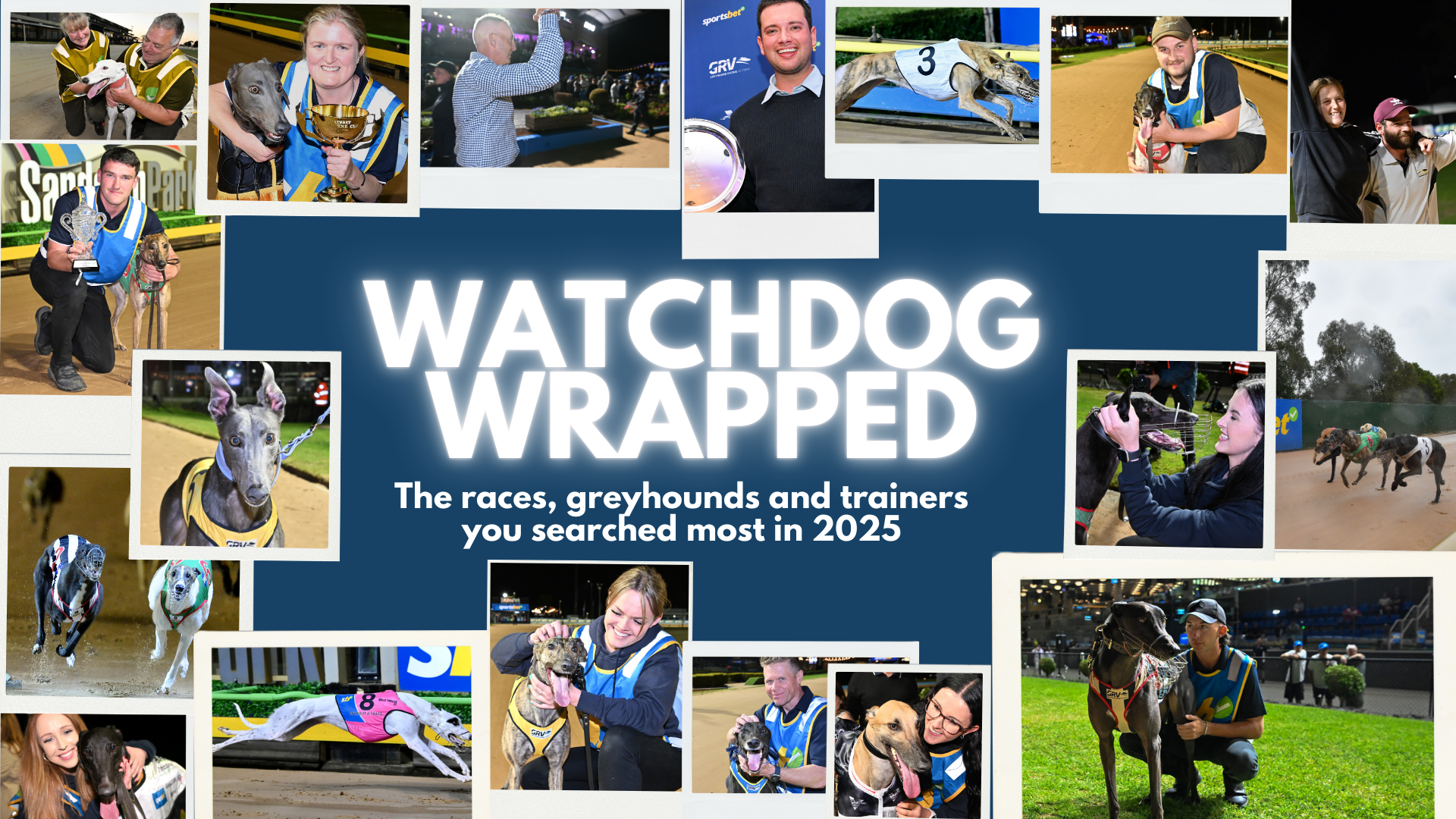 Watchdog Wrapped 2025: Top Races, Greyhounds and Trainers Revealed
