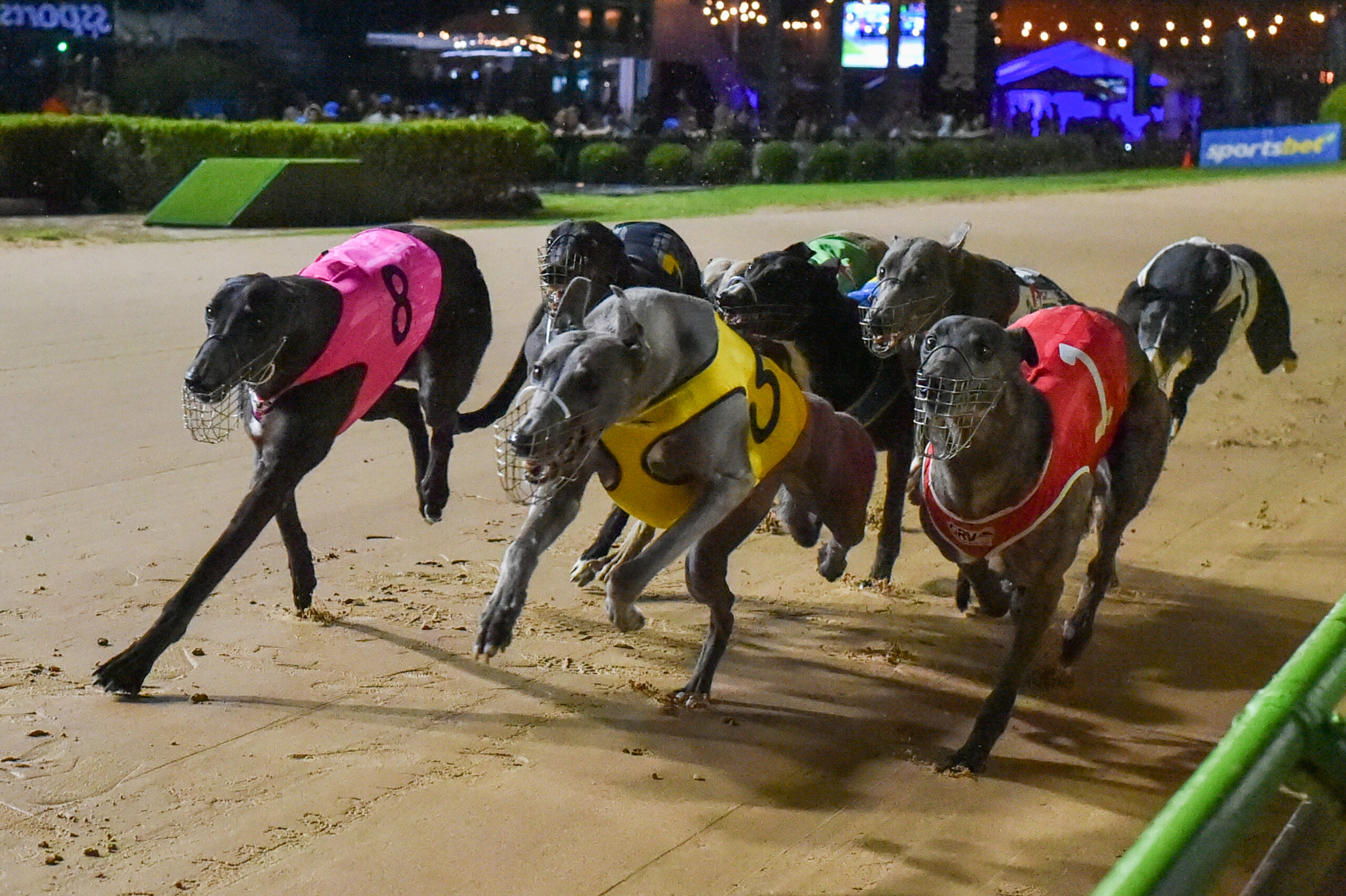 Hybrid race meetings & grading changes