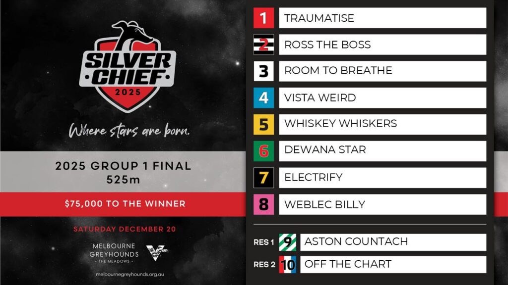 Traumatise lights up The Meadows with record-breaking Silver Chief heat