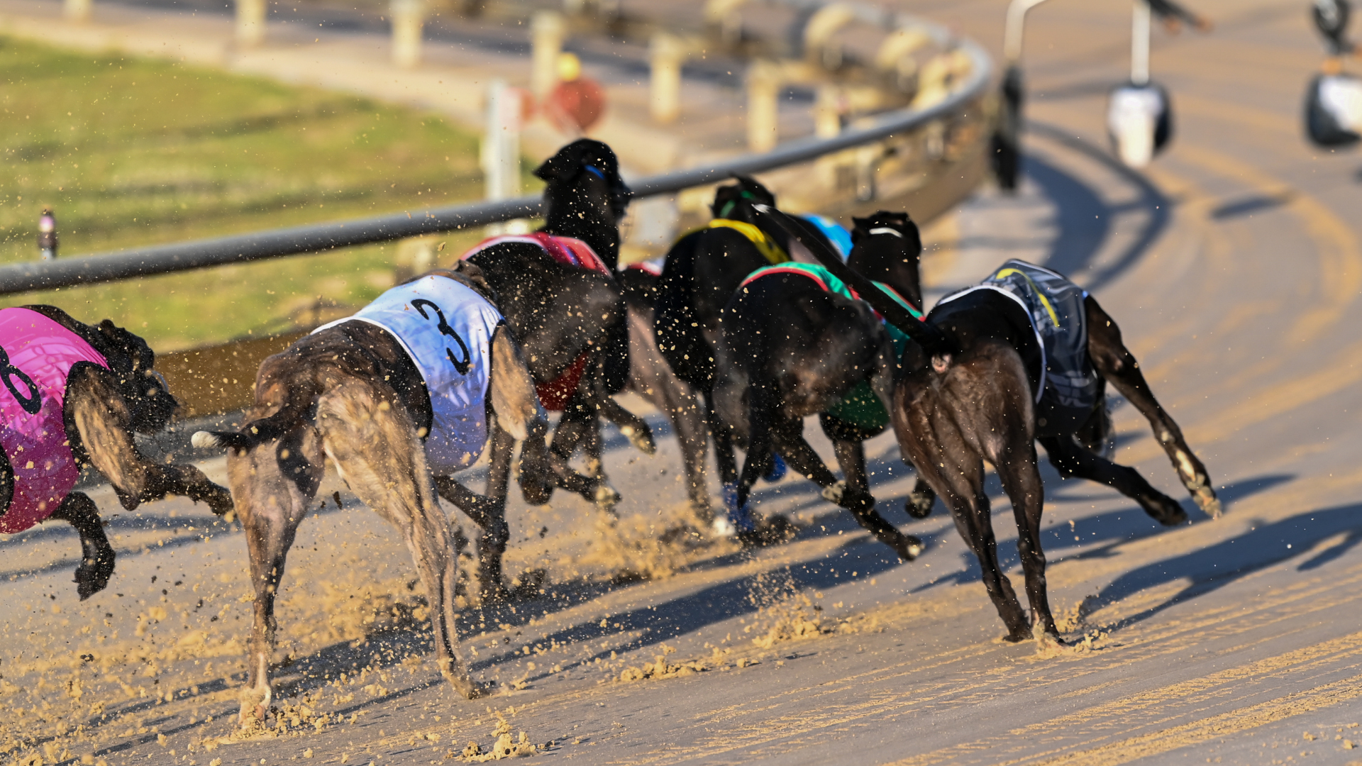 Race meetings cancelled and rescheduled due to extreme heat