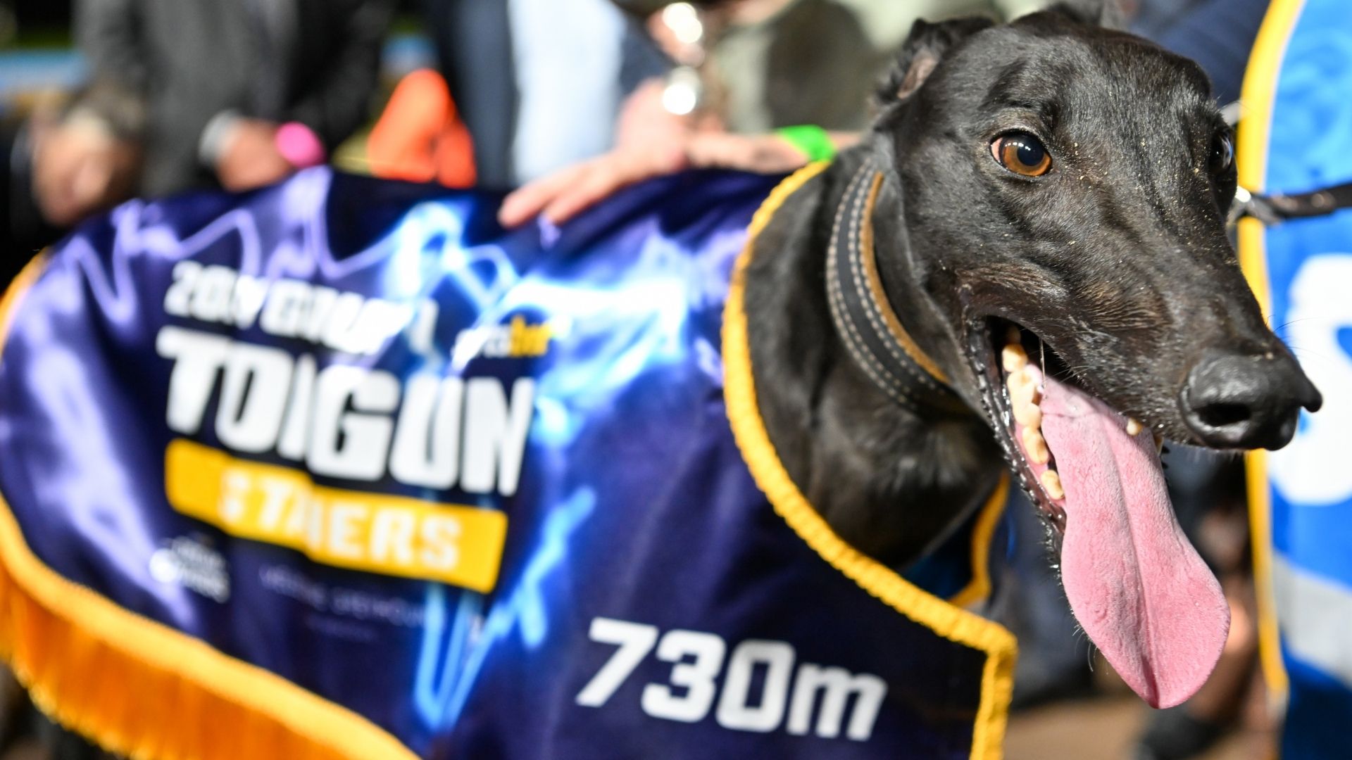 Freshened-Up Stars Ready to Fire in Australian Cup Heats